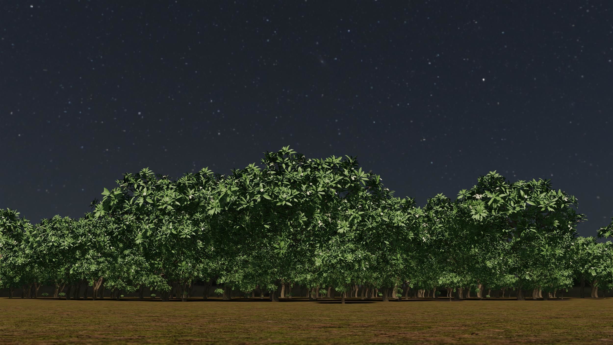 Tiny forest 3D model | CGTrader