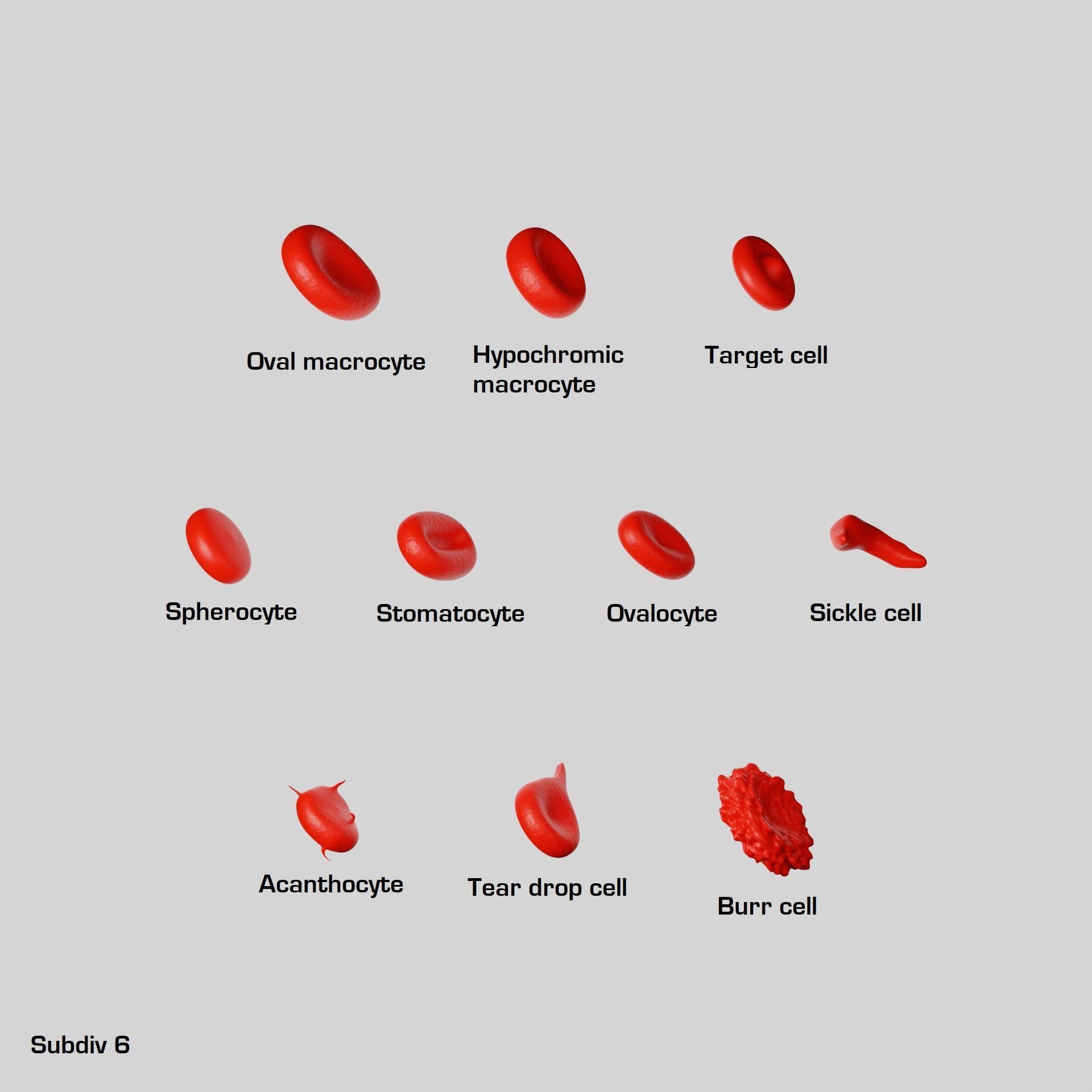 3D model Red blood cell Low-poly pathological variations 3D model VR ...