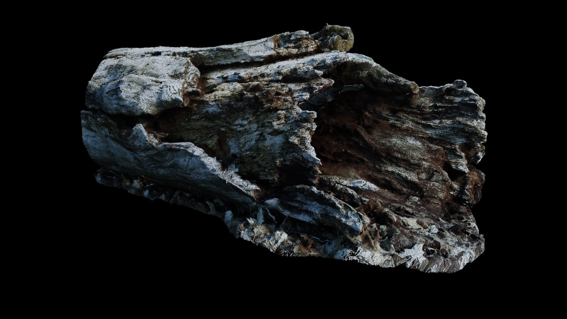 Fallen Rotting Log 3D model | CGTrader