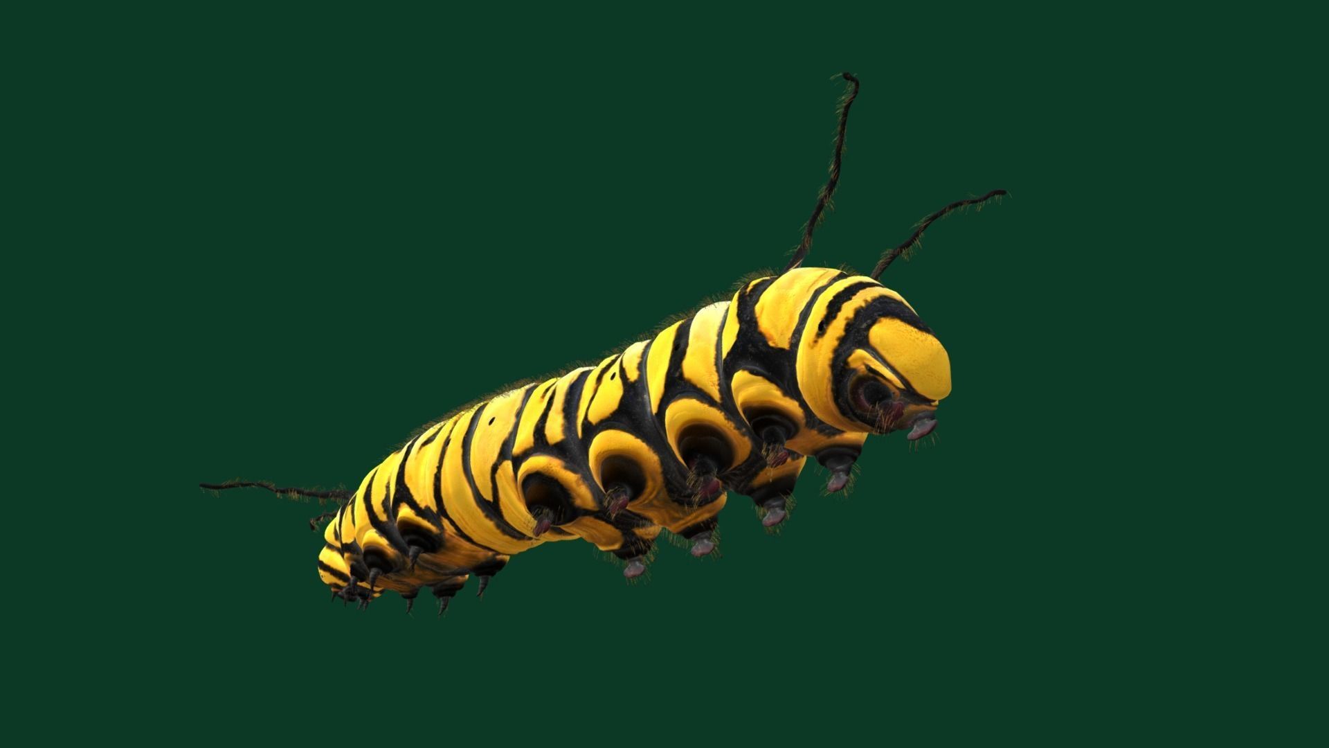Caterpillar idle 3D model animated rigged | CGTrader