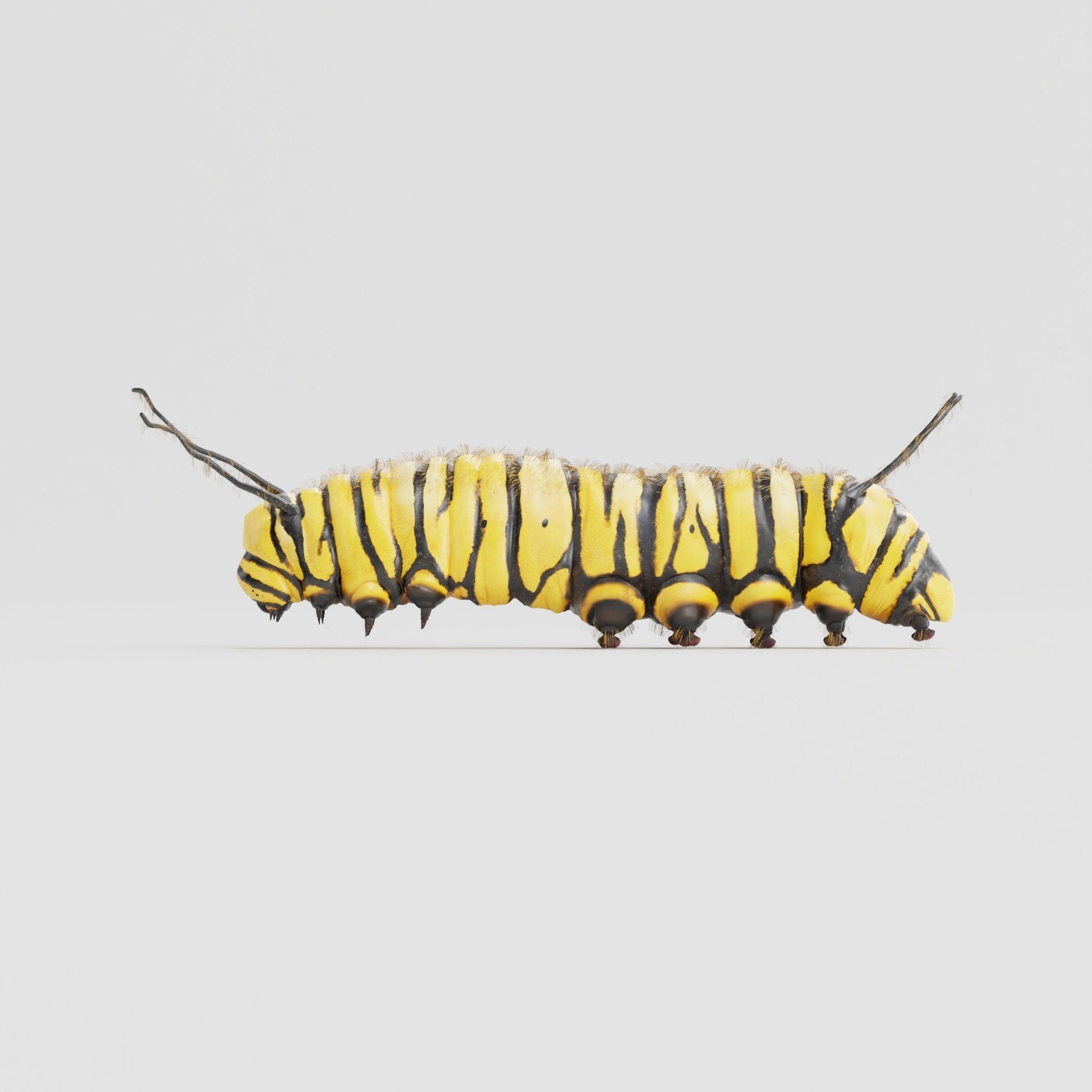 Caterpillar idle 3D model animated rigged | CGTrader