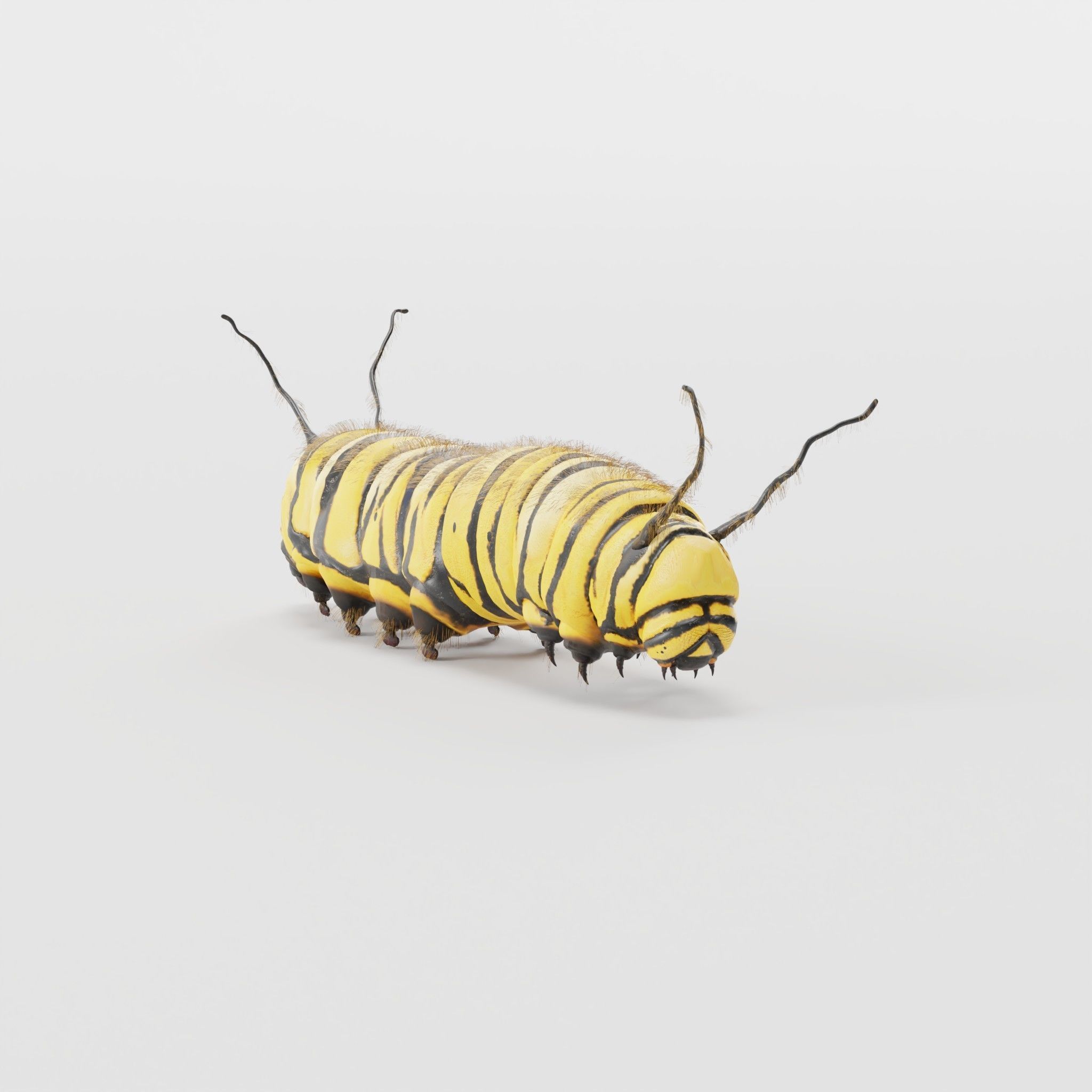 Caterpillar idle 3D model animated rigged | CGTrader