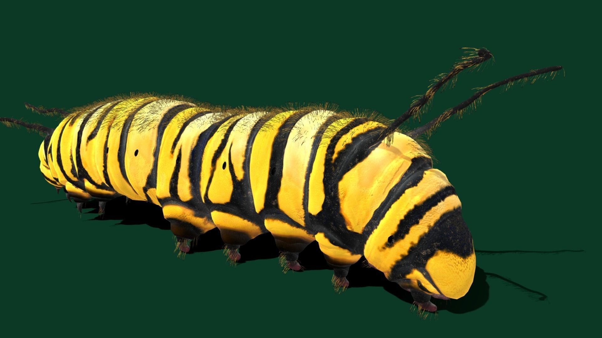 Caterpillar idle 3D model animated rigged | CGTrader