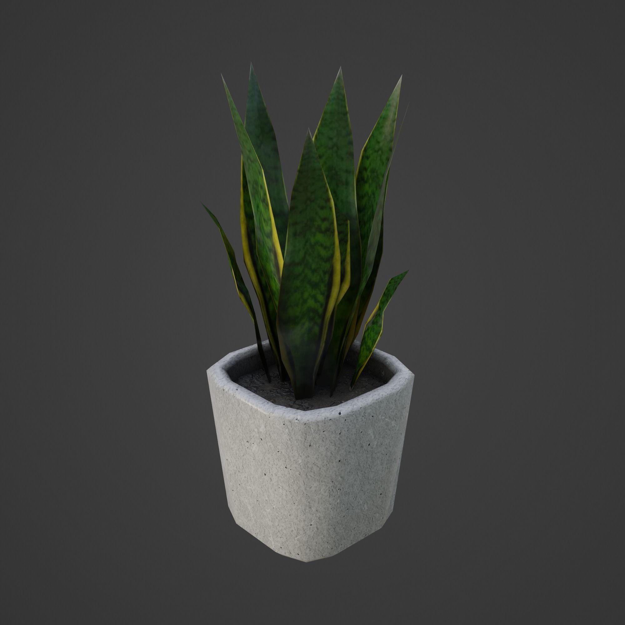 3D model Lowpoly Plant in concrete pot VR / AR / low-poly | CGTrader