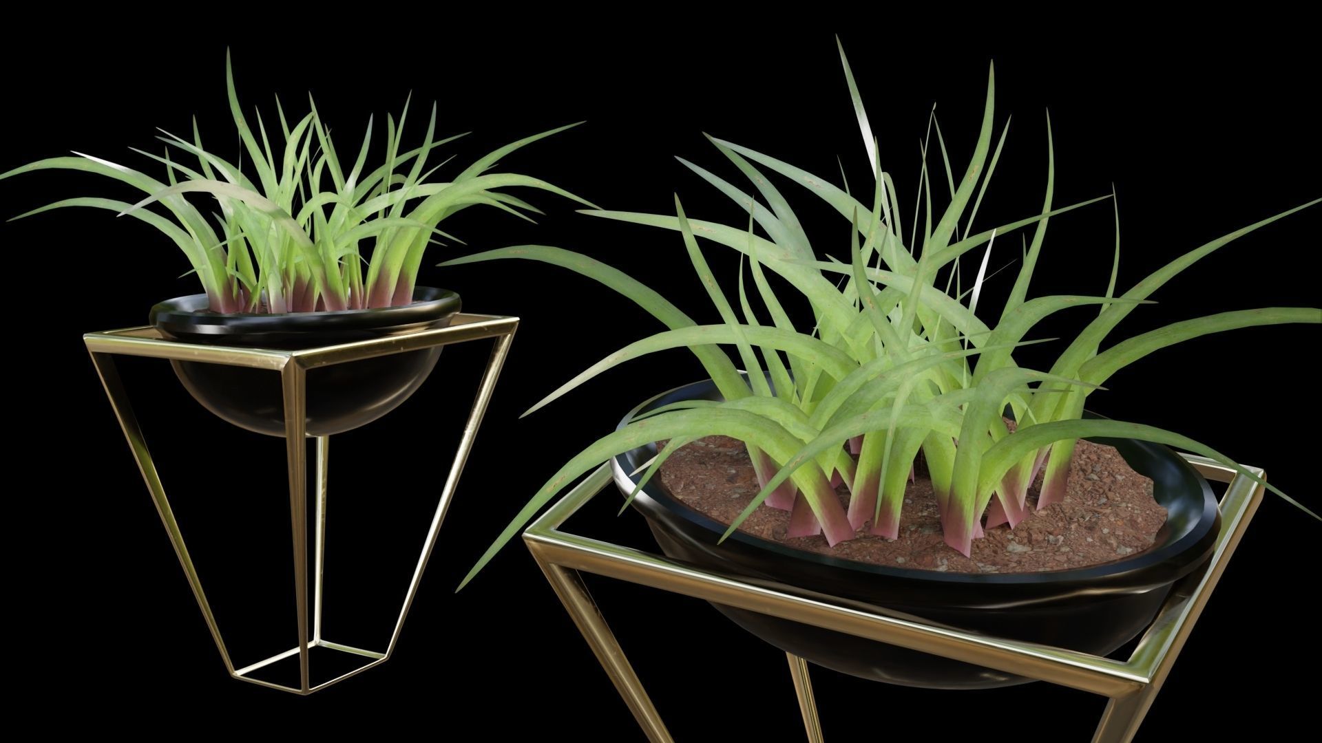 3D model Modern Pots Pack VR / AR / low-poly | CGTrader