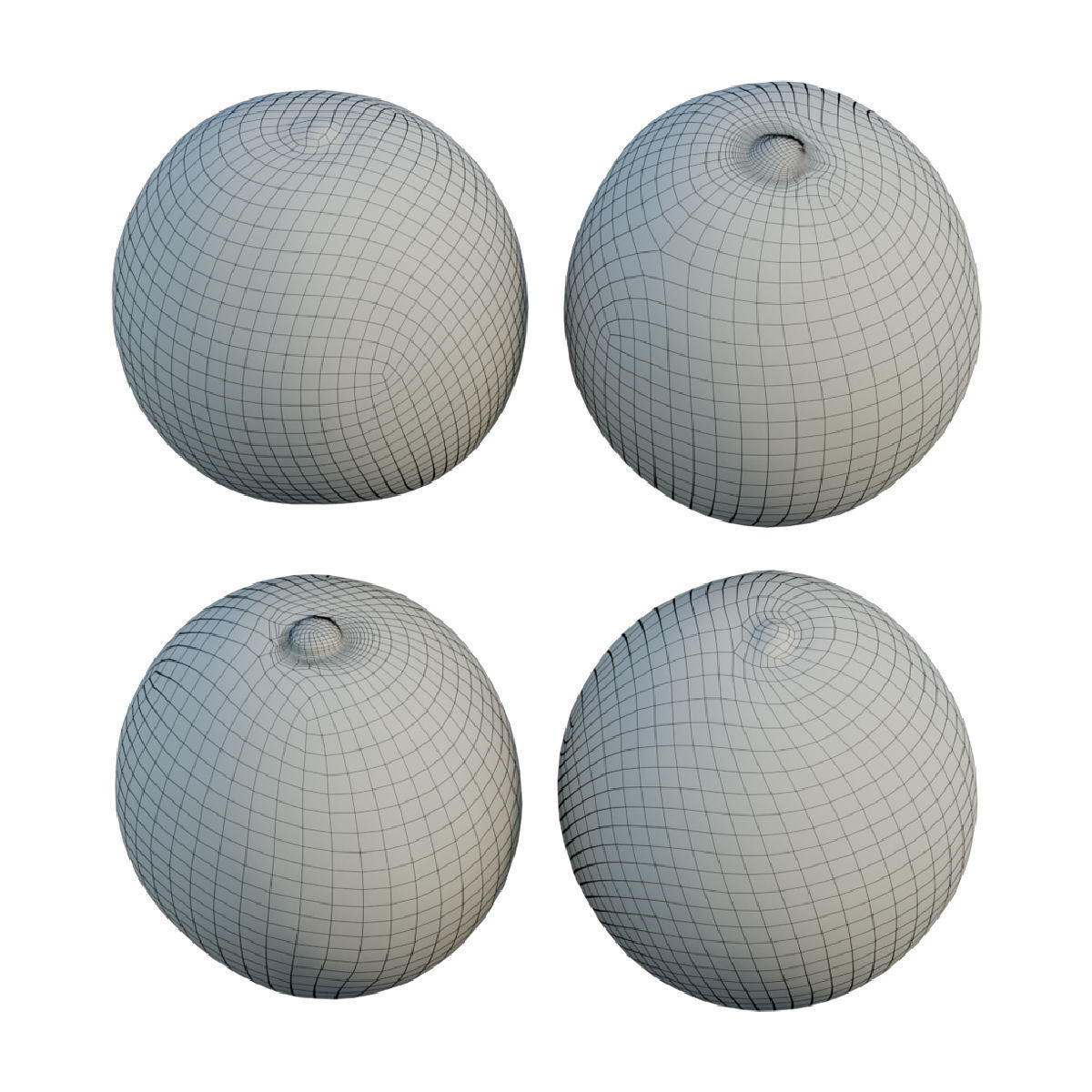 Booth Avocado 3D model | CGTrader