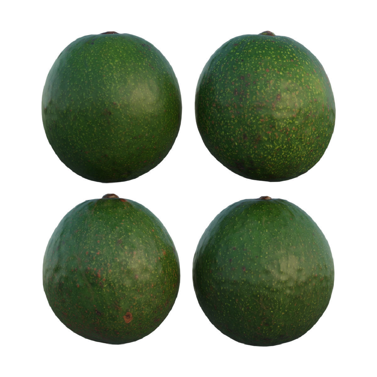 Booth Avocado 3D model | CGTrader