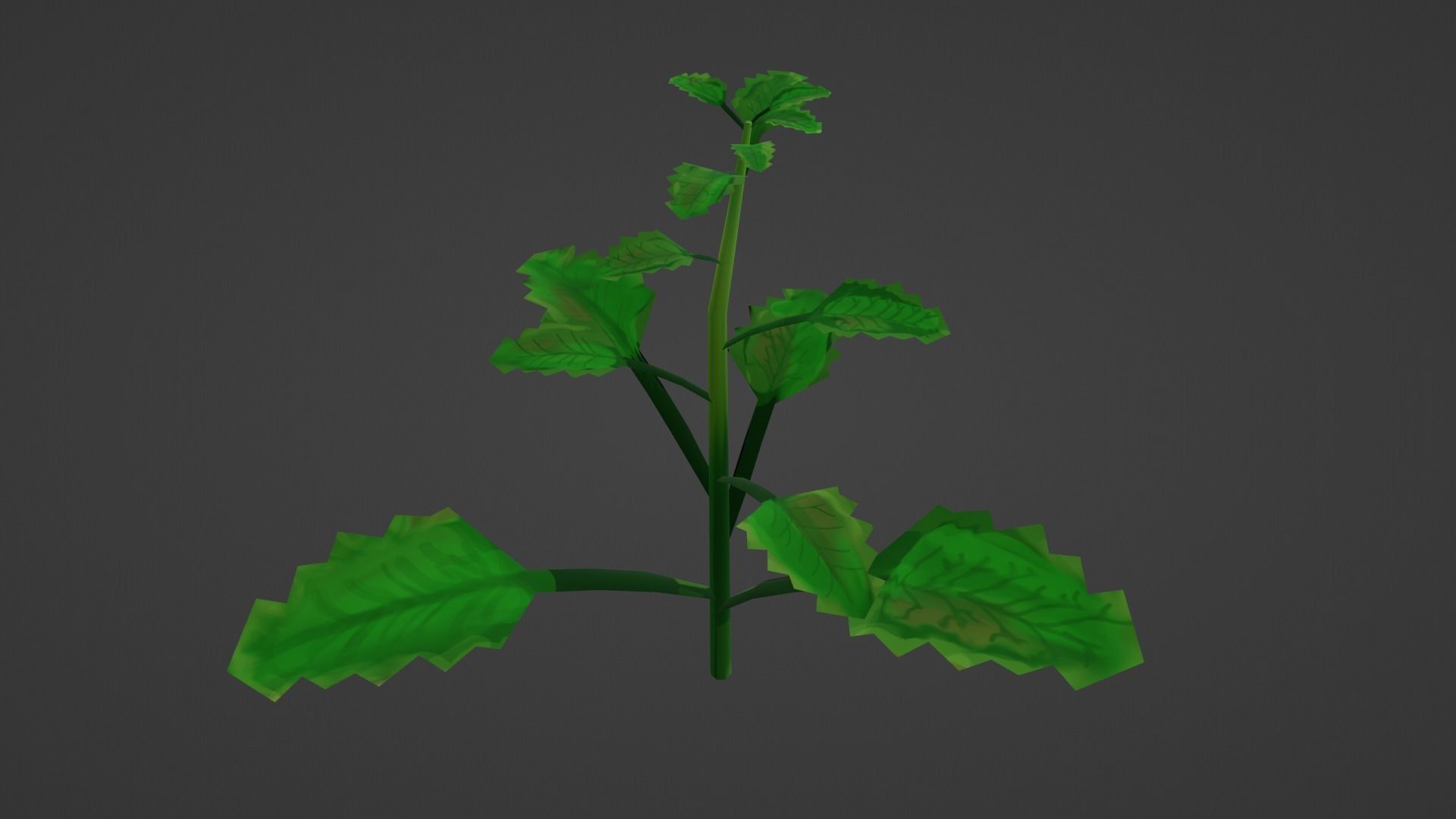 3D model Forest Foliage Collection VR / AR / low-poly | CGTrader