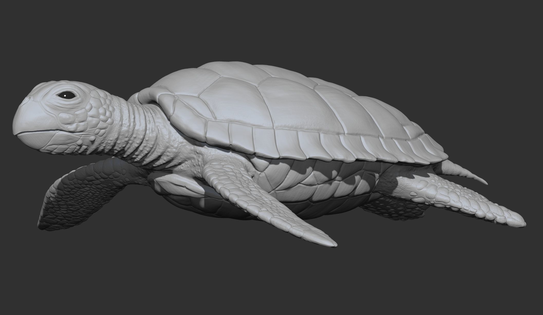 Green Sea Turtle 3dprintable 3d Model 3d Printable Cgtrader