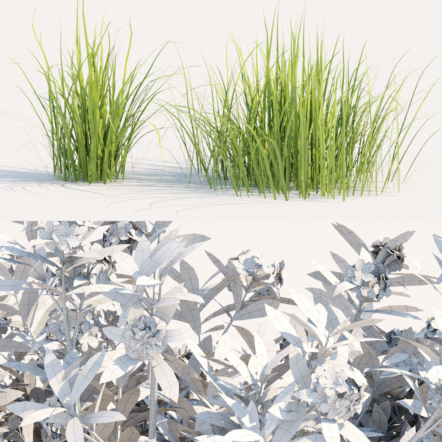 Nerium Oleander-Grass Garden vol 117 3D model | CGTrader