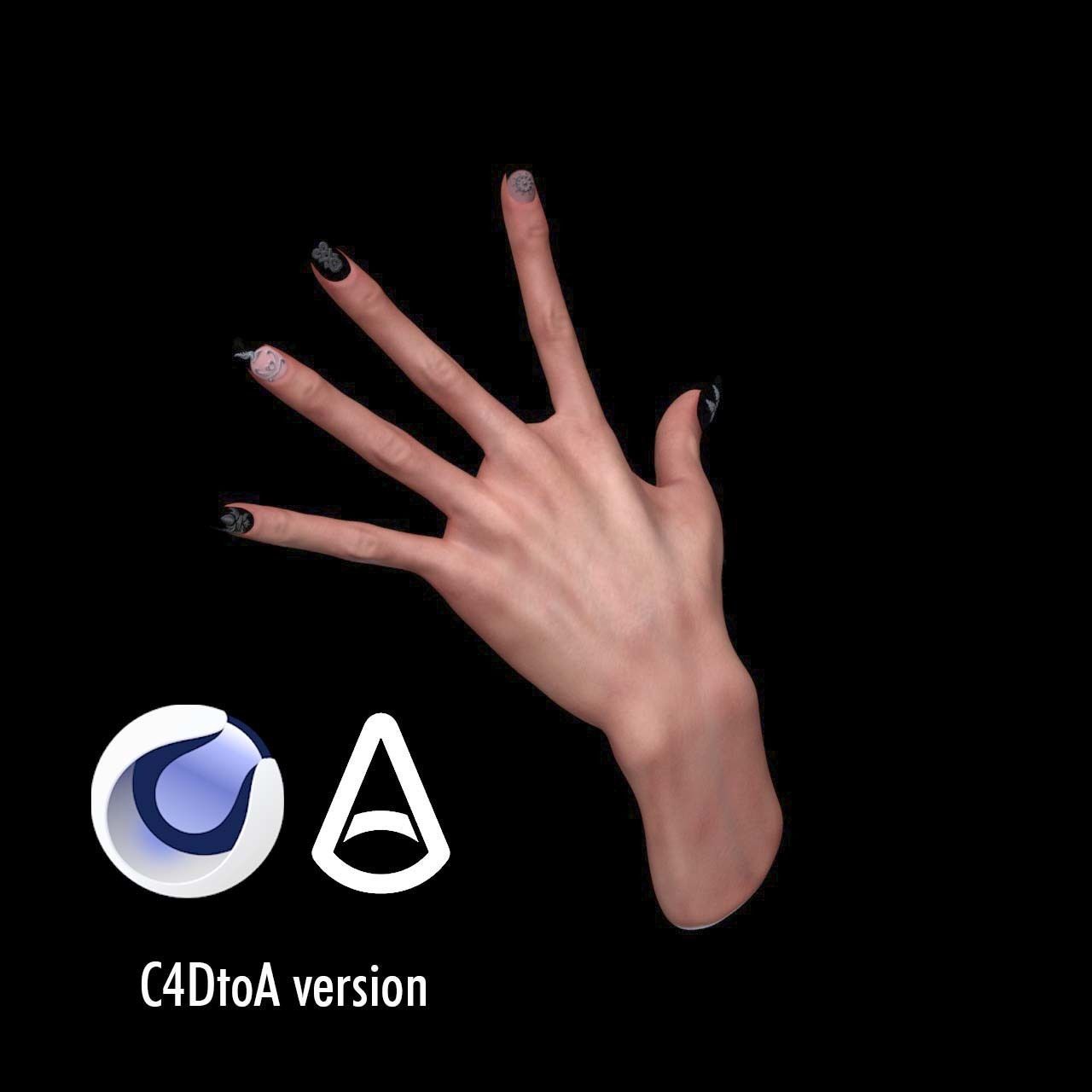 Female slim hand 3D model | CGTrader