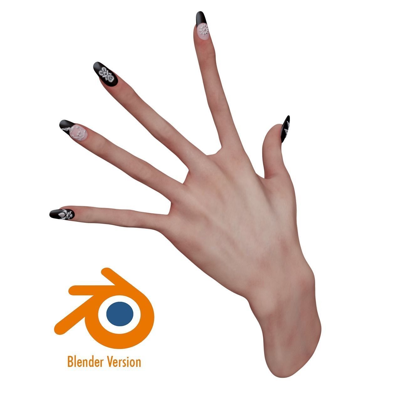 Female slim hand 3D model | CGTrader