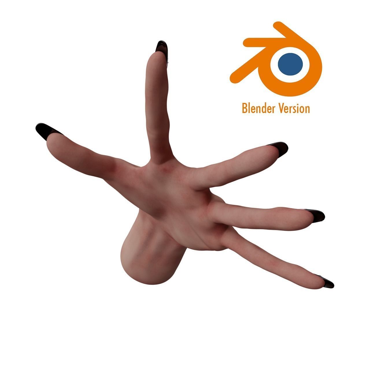 Female slim hand 3D model | CGTrader
