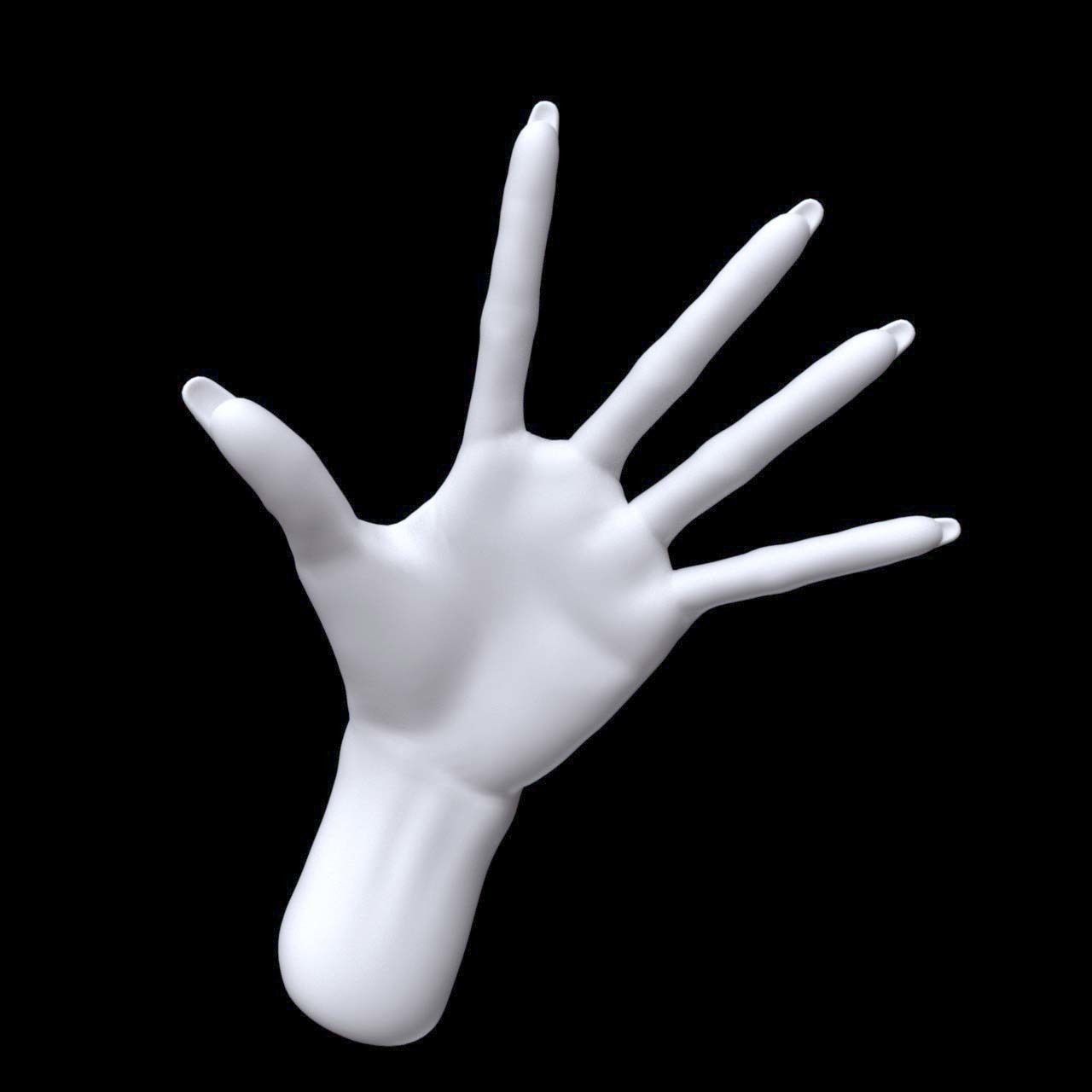 Female slim hand 3D model | CGTrader