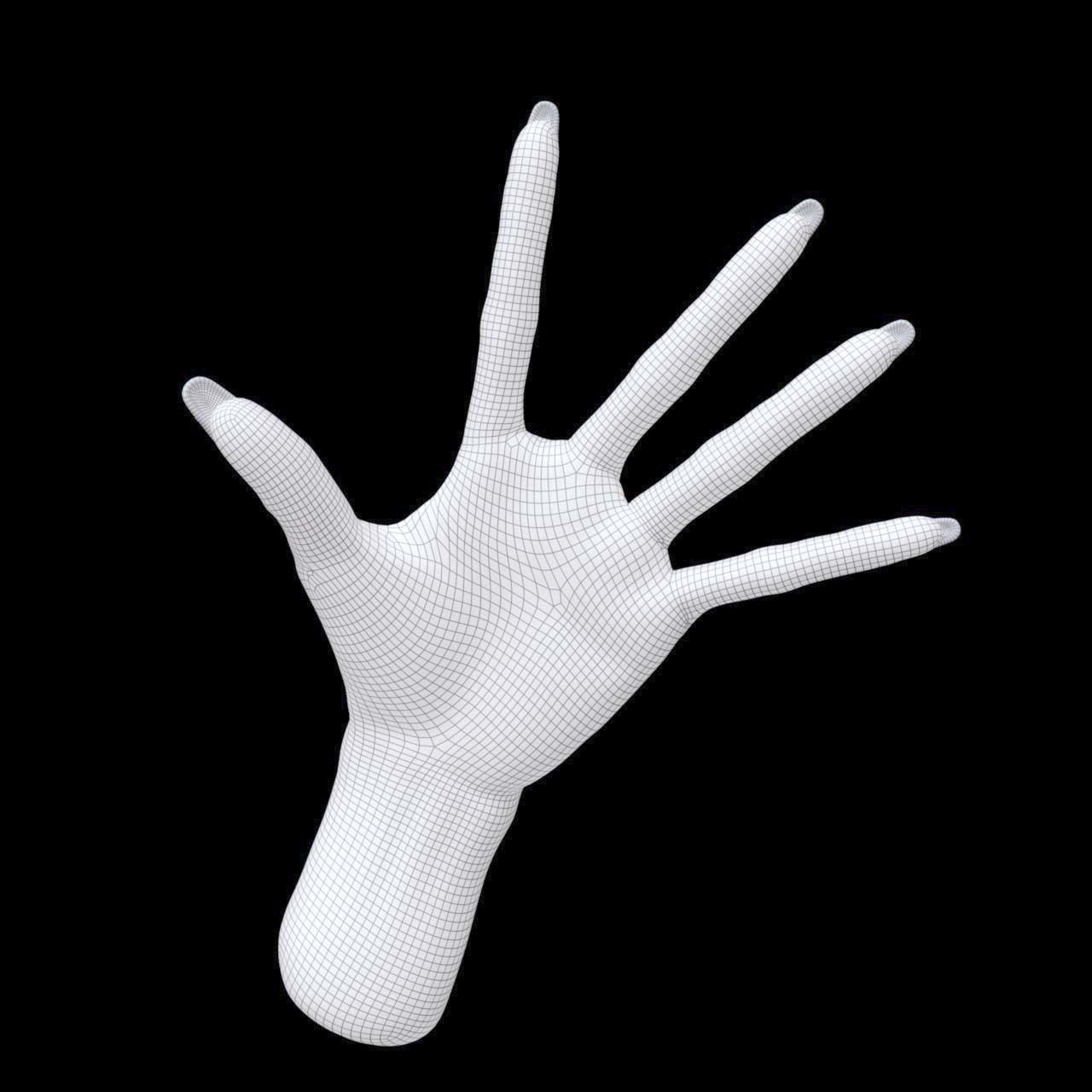 Female slim hand 3D model | CGTrader