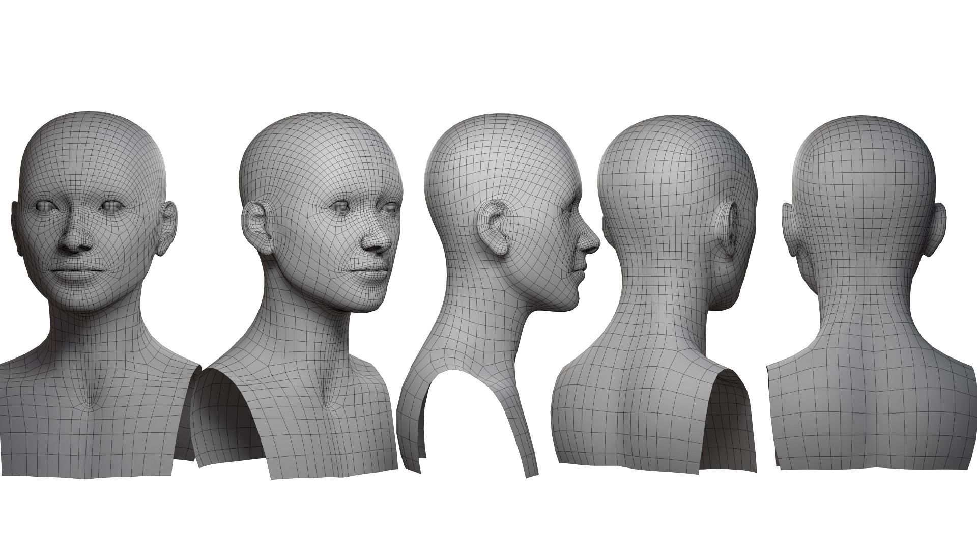 Basemesh Head free 3D model | CGTrader