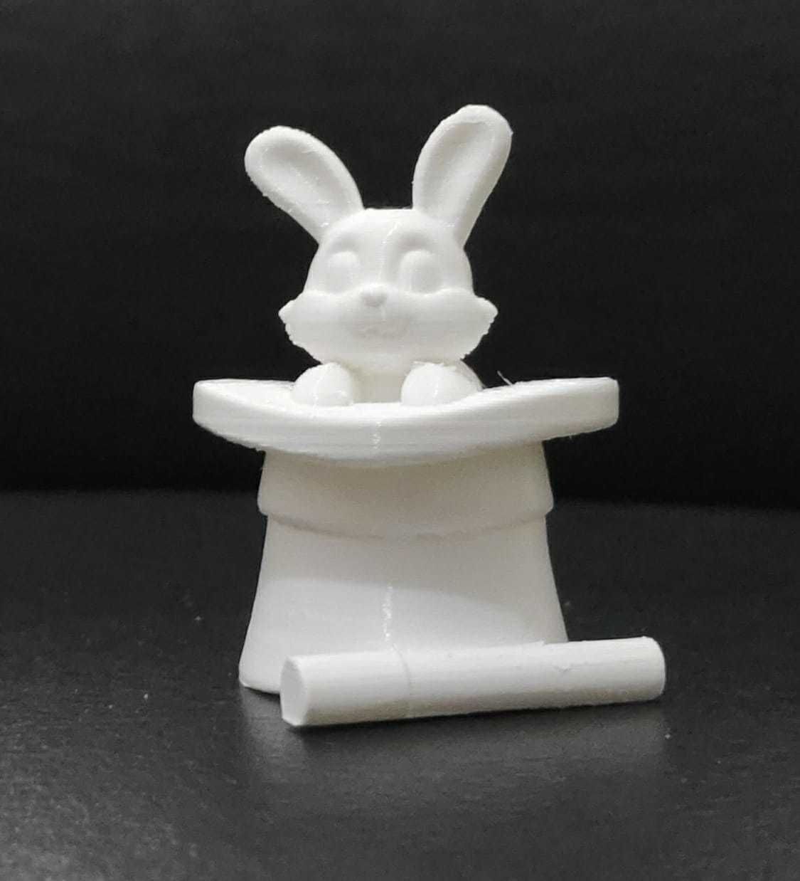 Magic Bunny 3D model 3D printable | CGTrader