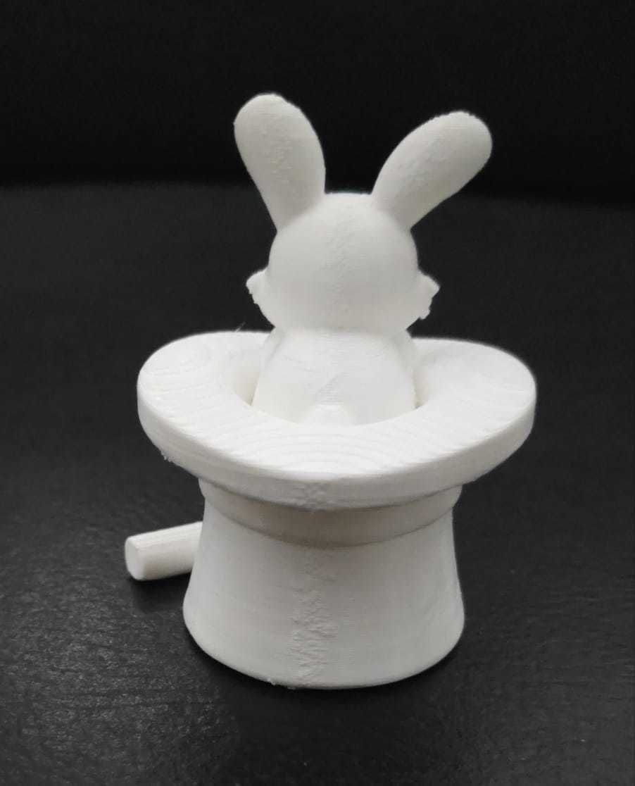 Magic Bunny 3D model 3D printable | CGTrader