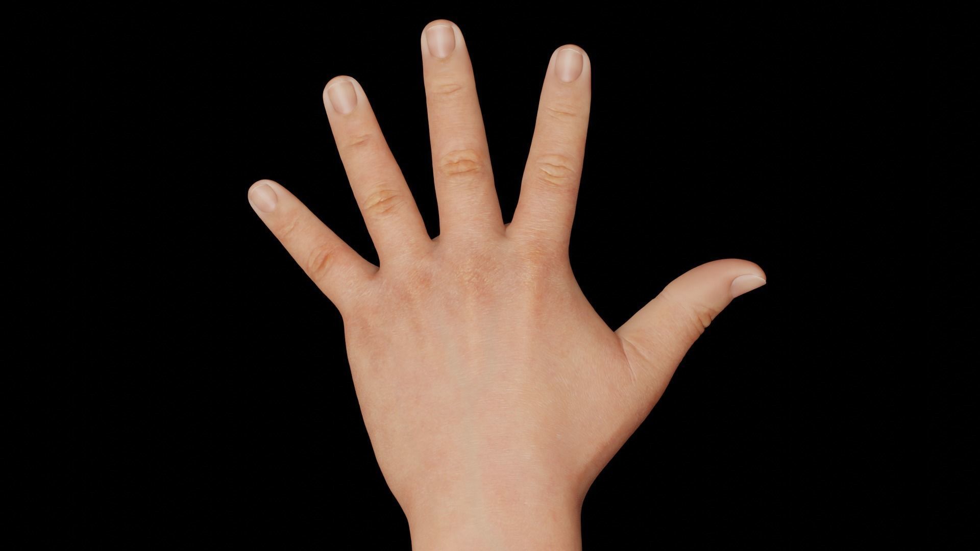 3D model Left Hand Rigged VR / AR / low-poly | CGTrader