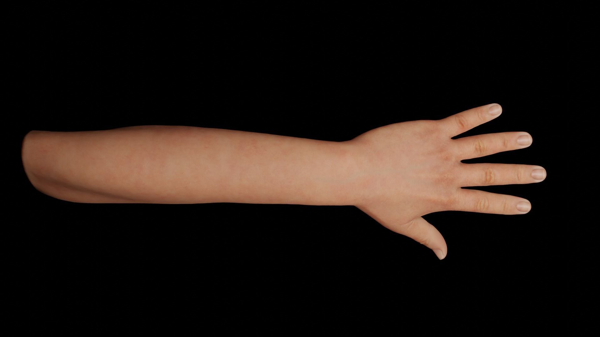 3D model Left Hand Rigged VR / AR / low-poly | CGTrader