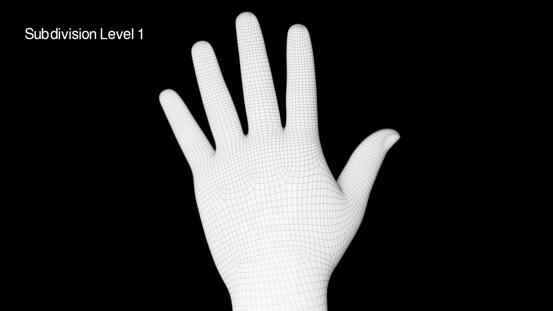 3D model Left Hand Rigged VR / AR / low-poly | CGTrader