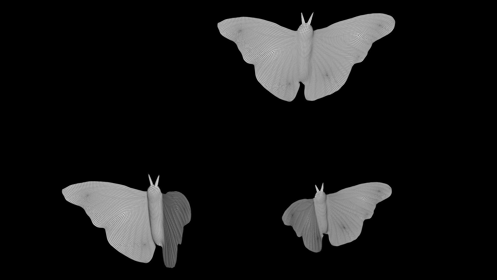 Butterfly obj and texture 3D model | CGTrader