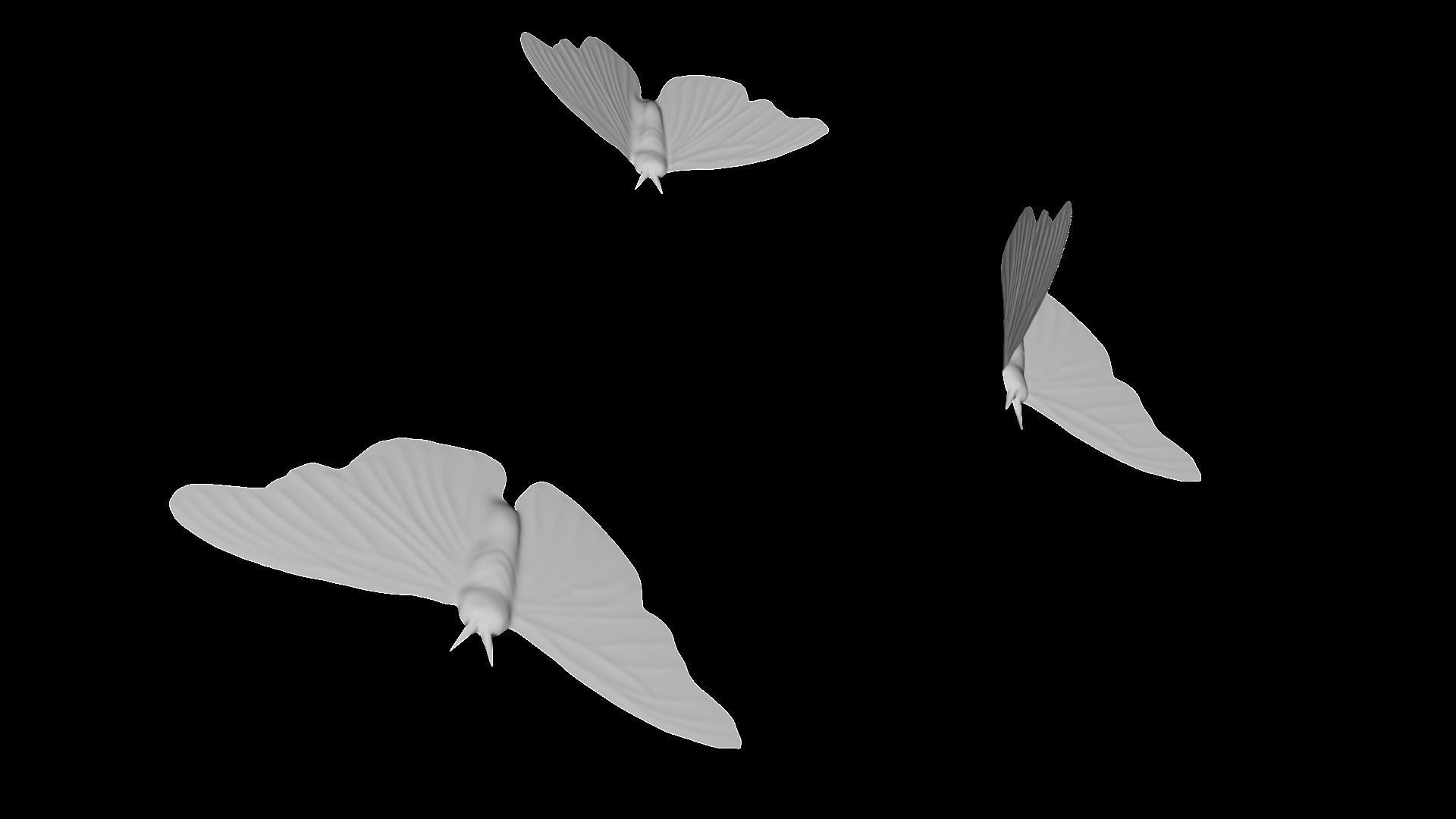 Butterfly obj and texture 3D model | CGTrader