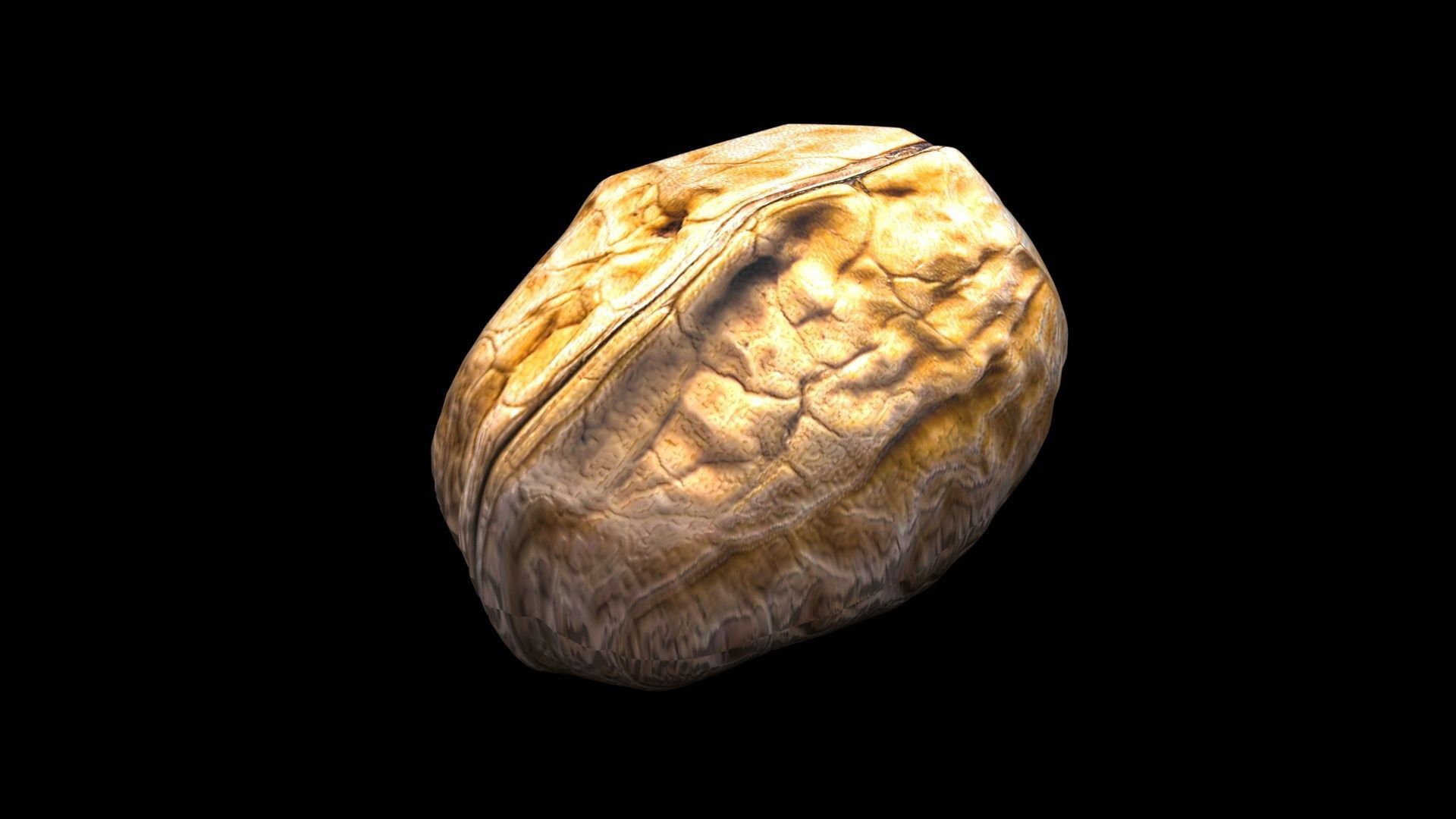 Walnut Shell 3D model | CGTrader
