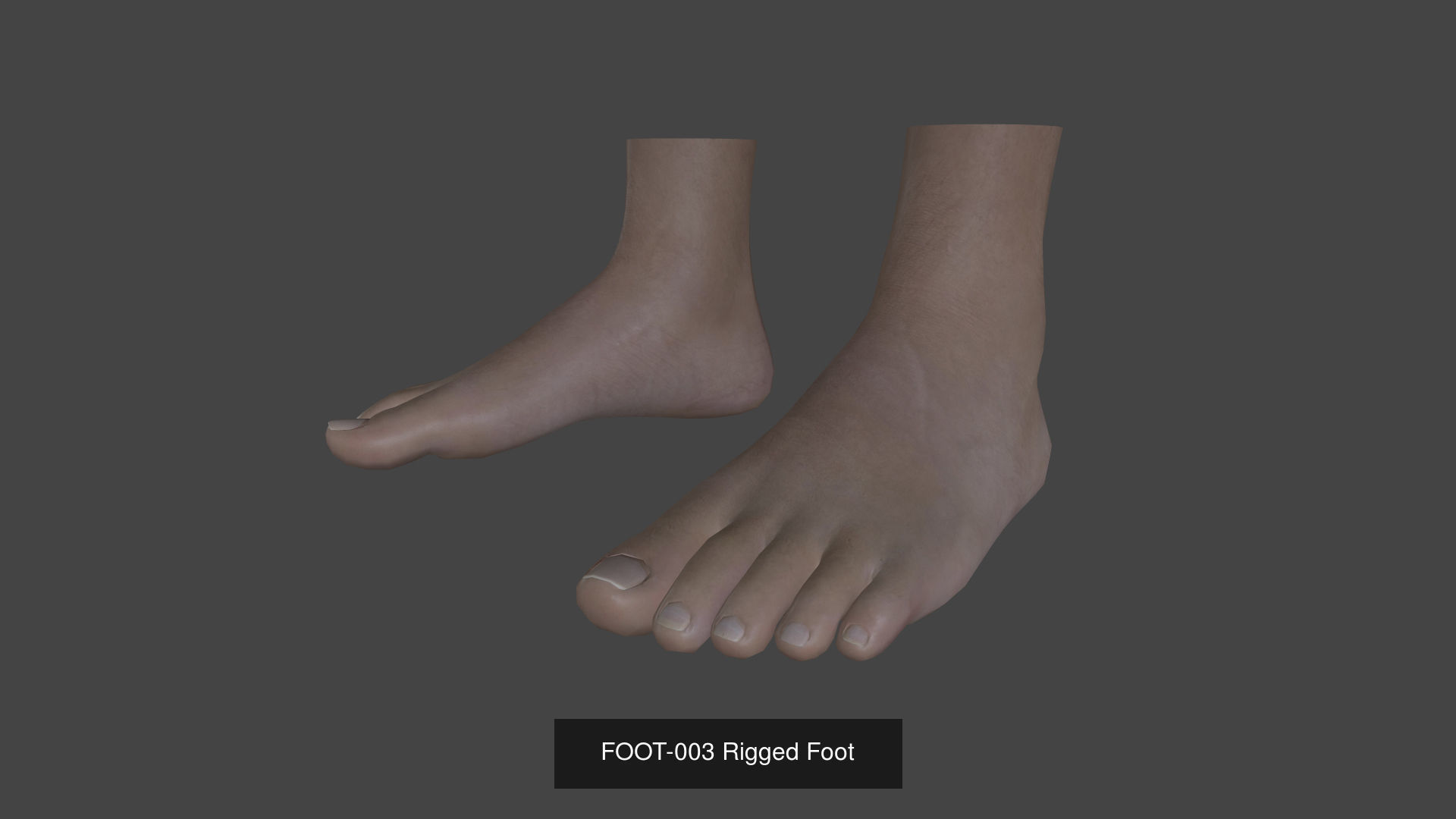 3D Model Collection Foot Bundle VR / AR / low-poly | CGTrader