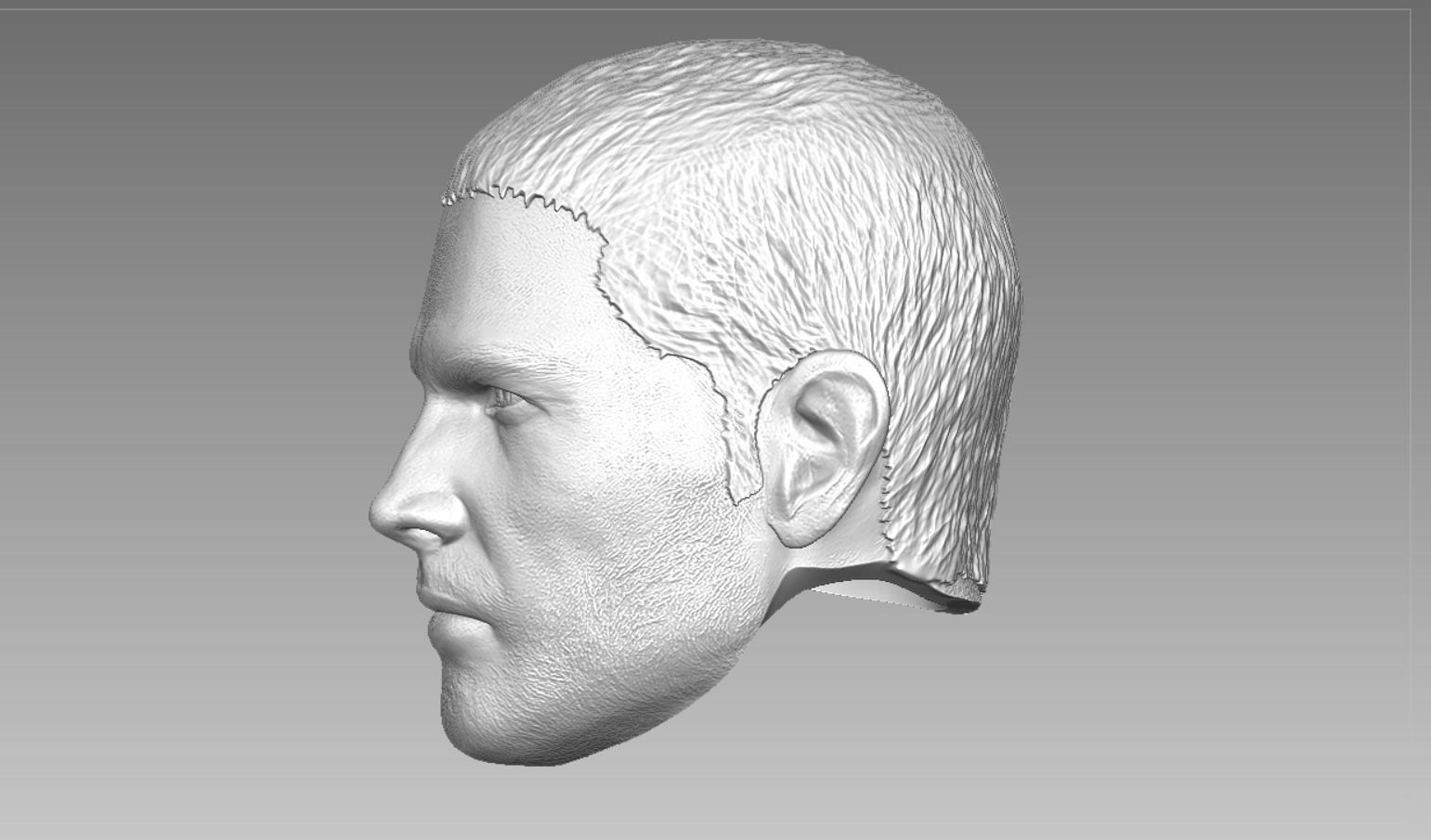 ONE12 SCALE HEAD - Chris Redfield- RE6 3D print model 3D model 3D ...