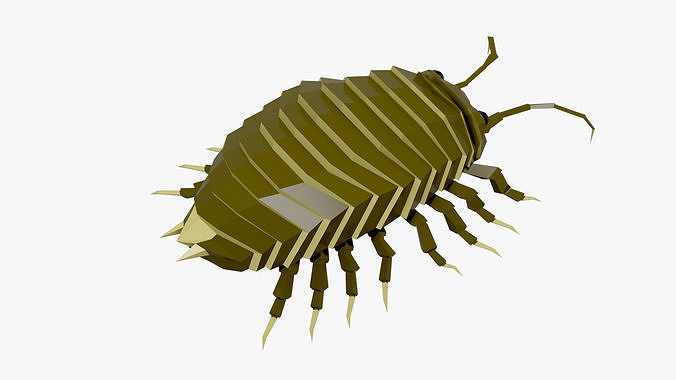 3D model Bug low poly VR / AR / low-poly | CGTrader