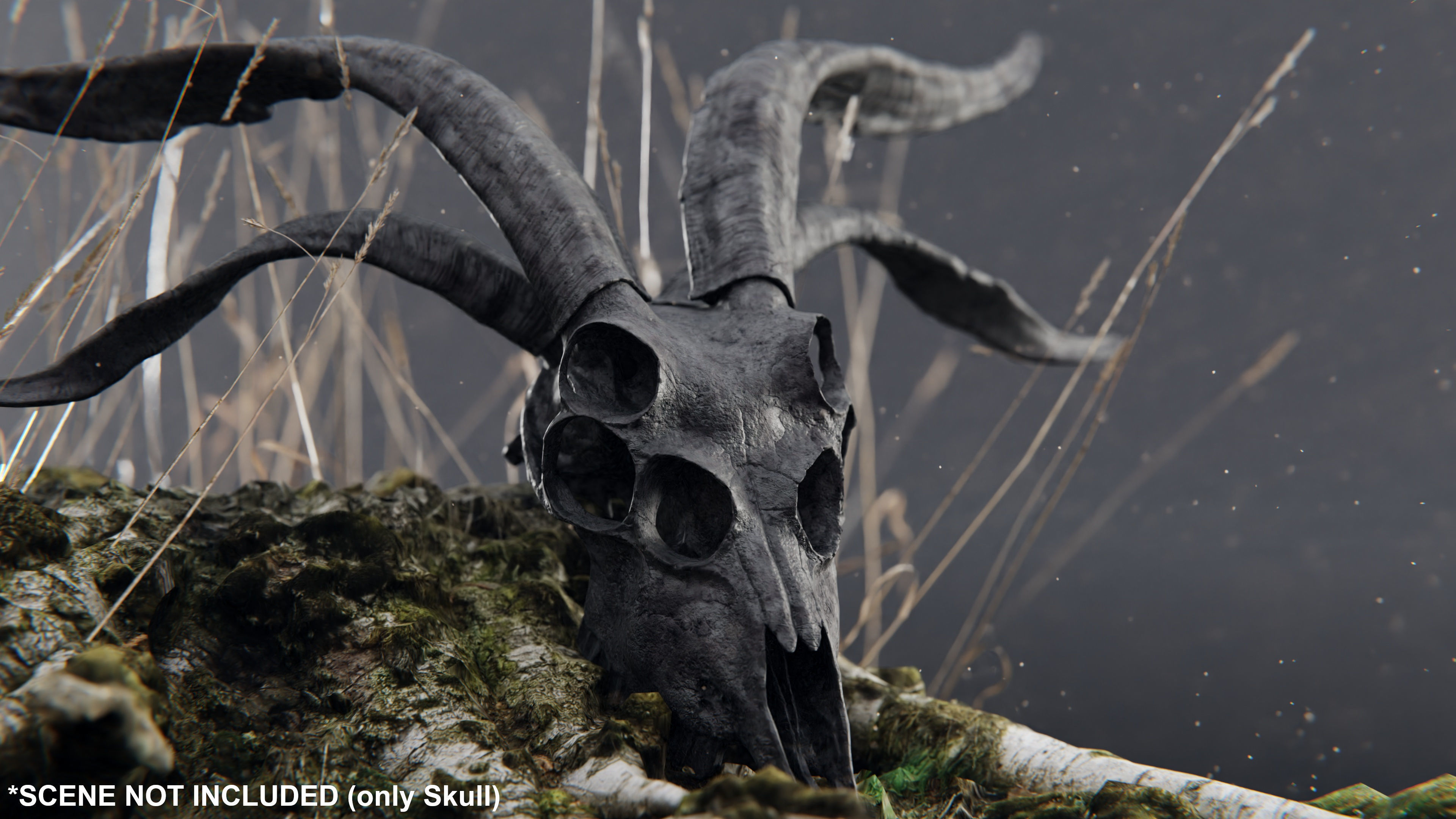 demon goat skull black 3D model | CGTrader