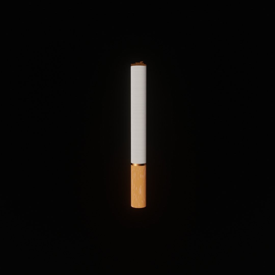3D model Cigars And Cigarettes VR / AR / low-poly | CGTrader