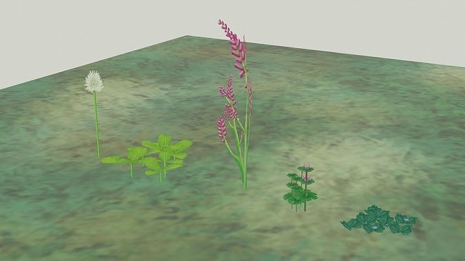 Assortment of 5 flower assets free VR / AR / low-poly 3D model | CGTrader