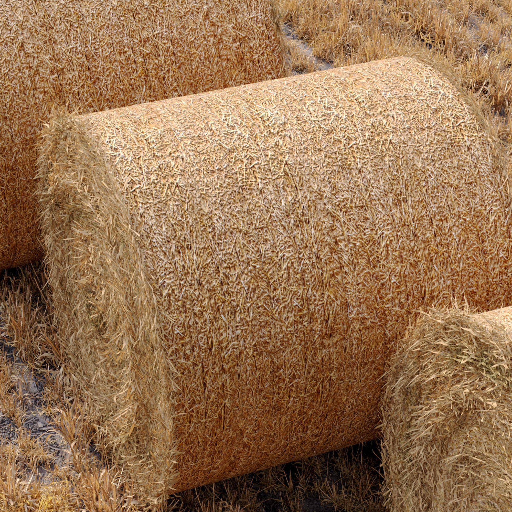 Farm field with hay bale 3D model | CGTrader