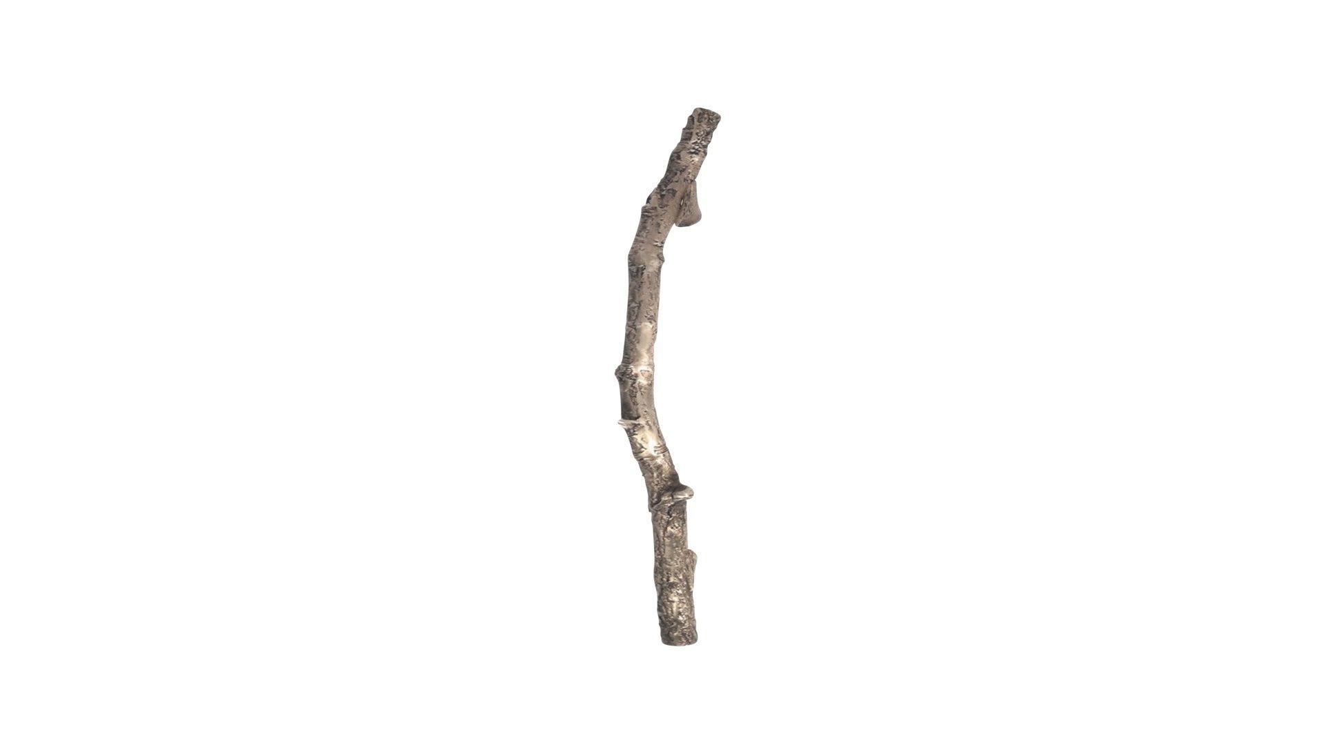 Tree Branch 3D model | CGTrader