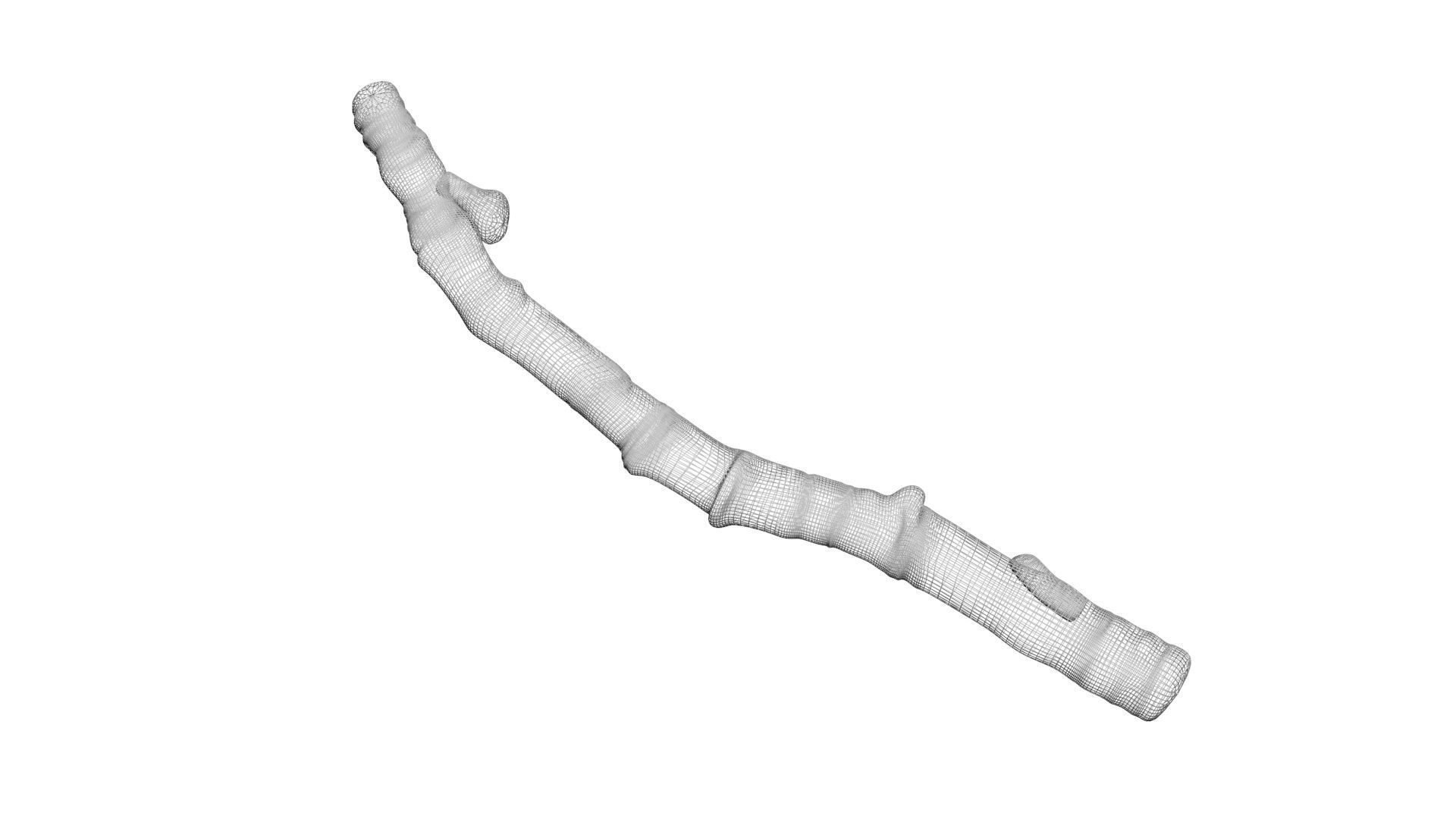 Tree Branch 3D model | CGTrader