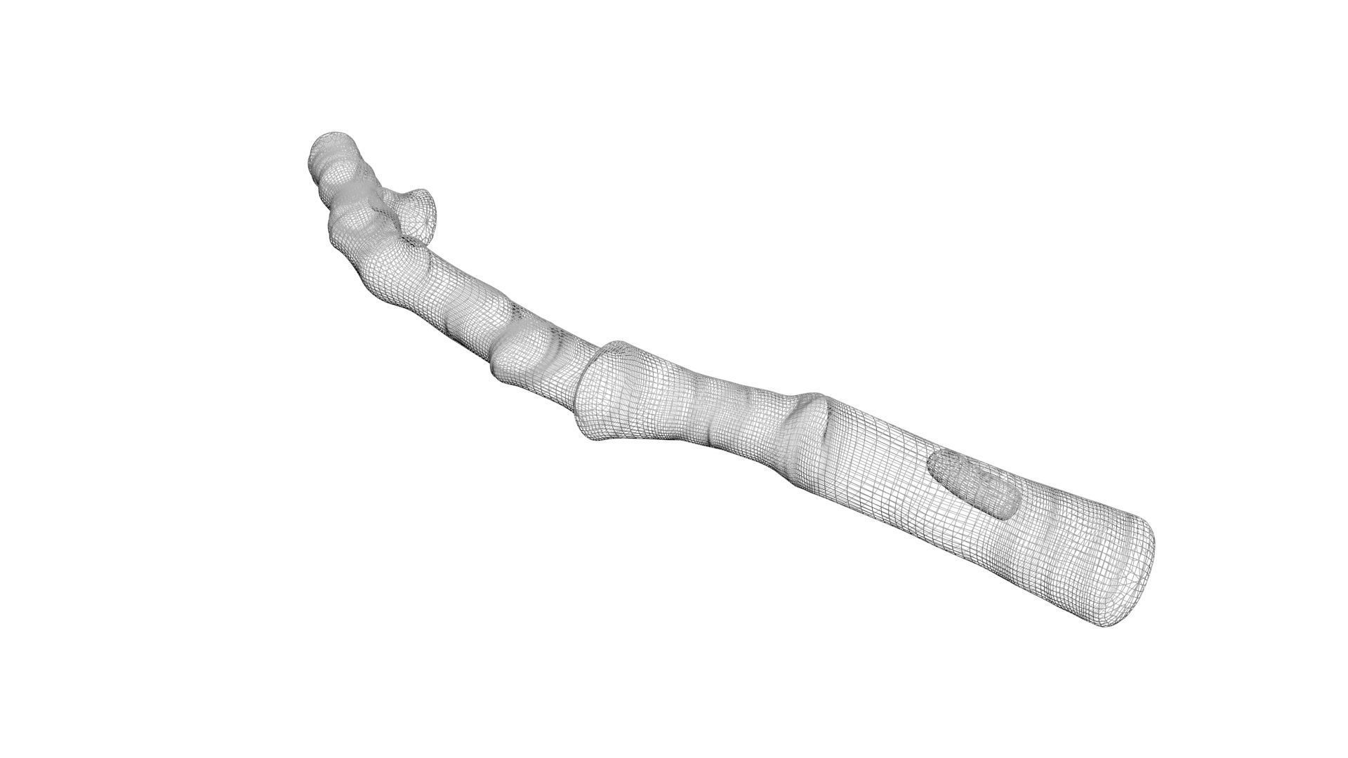 Tree Branch 3D model | CGTrader