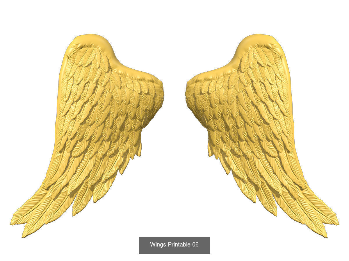 6 Wing Printable Set 3D Model Collection | CGTrader