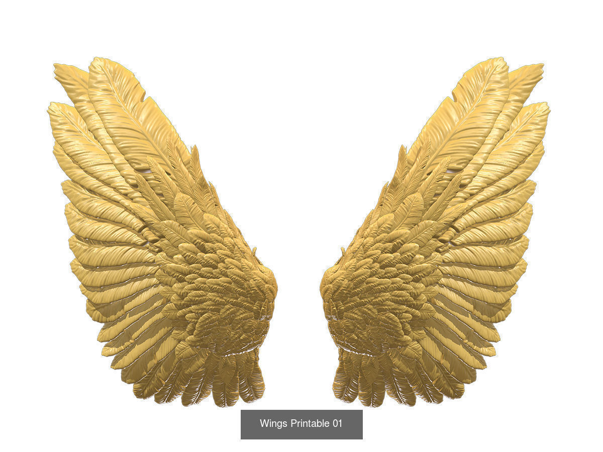 6 Wing Printable Set 3D Model Collection | CGTrader