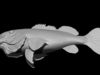 Perch Fish 3D model 3D printable | CGTrader