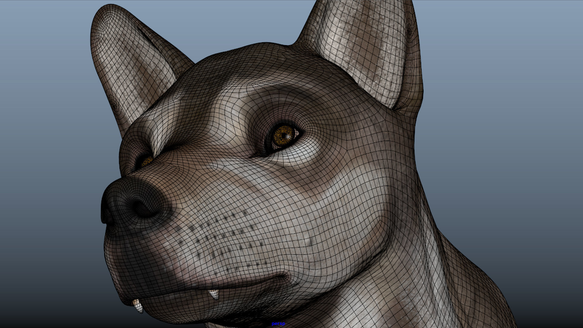 Wolf 3D European Wolf 3D model rigged | CGTrader