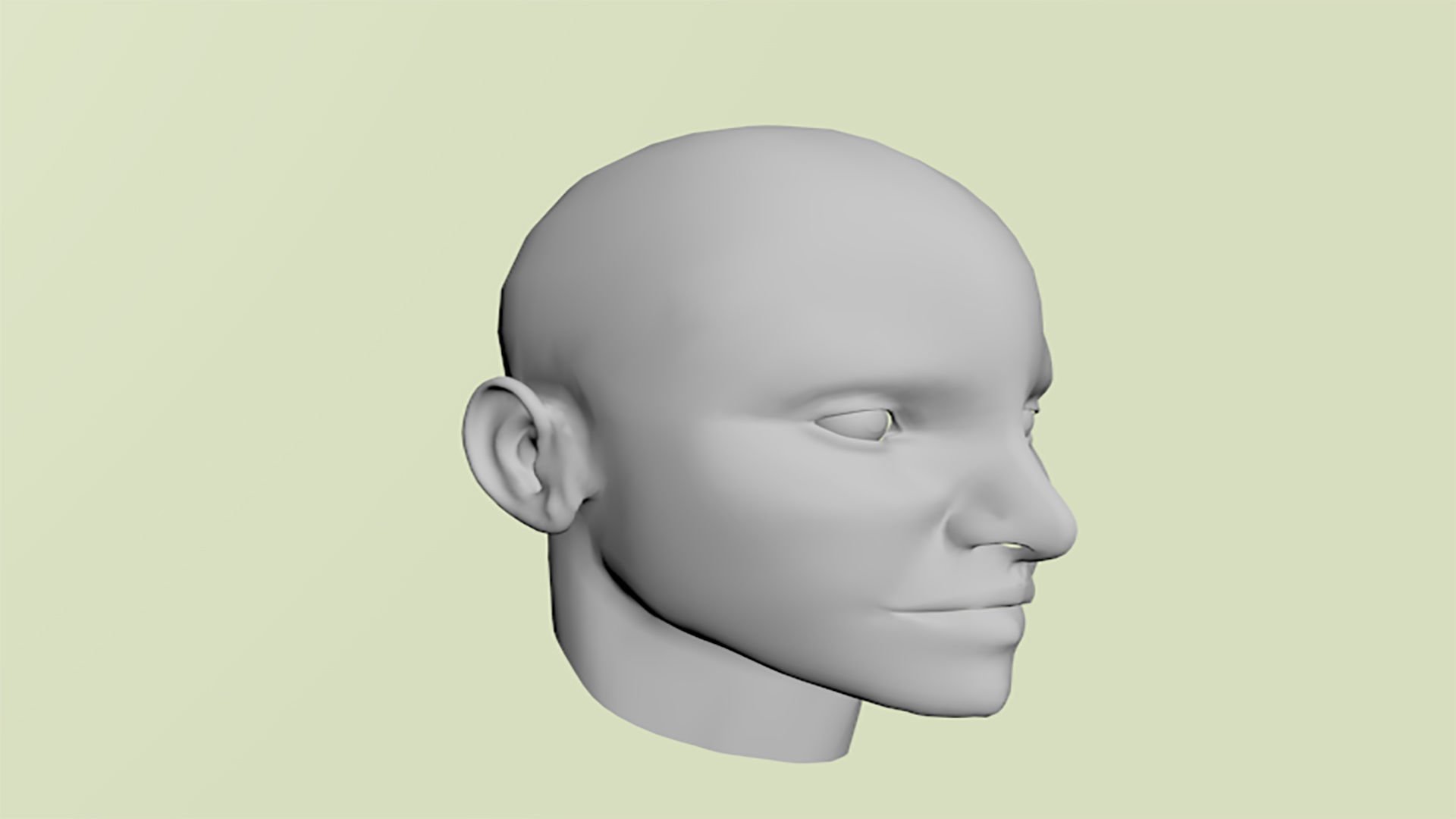 Female head 3D model free 3D model rigged | CGTrader