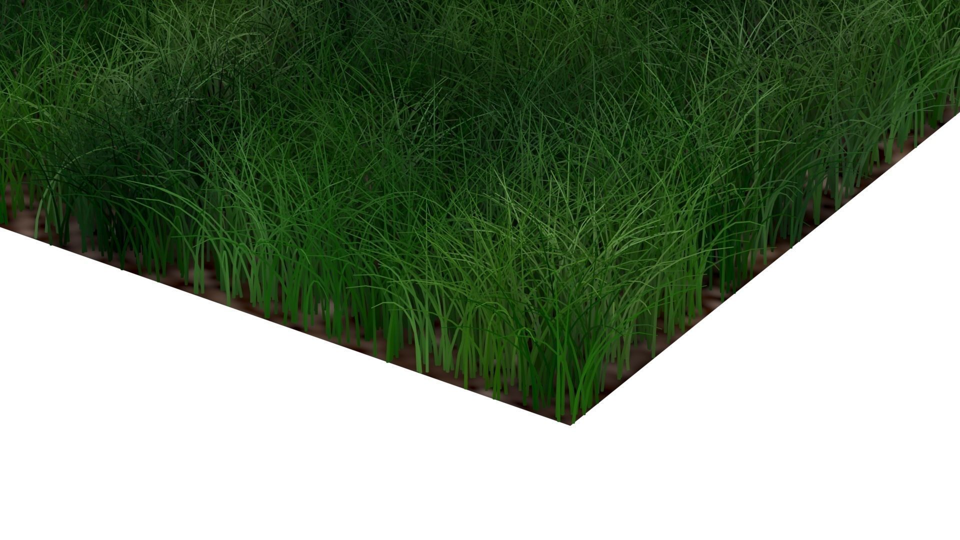 Grass 3D model | CGTrader