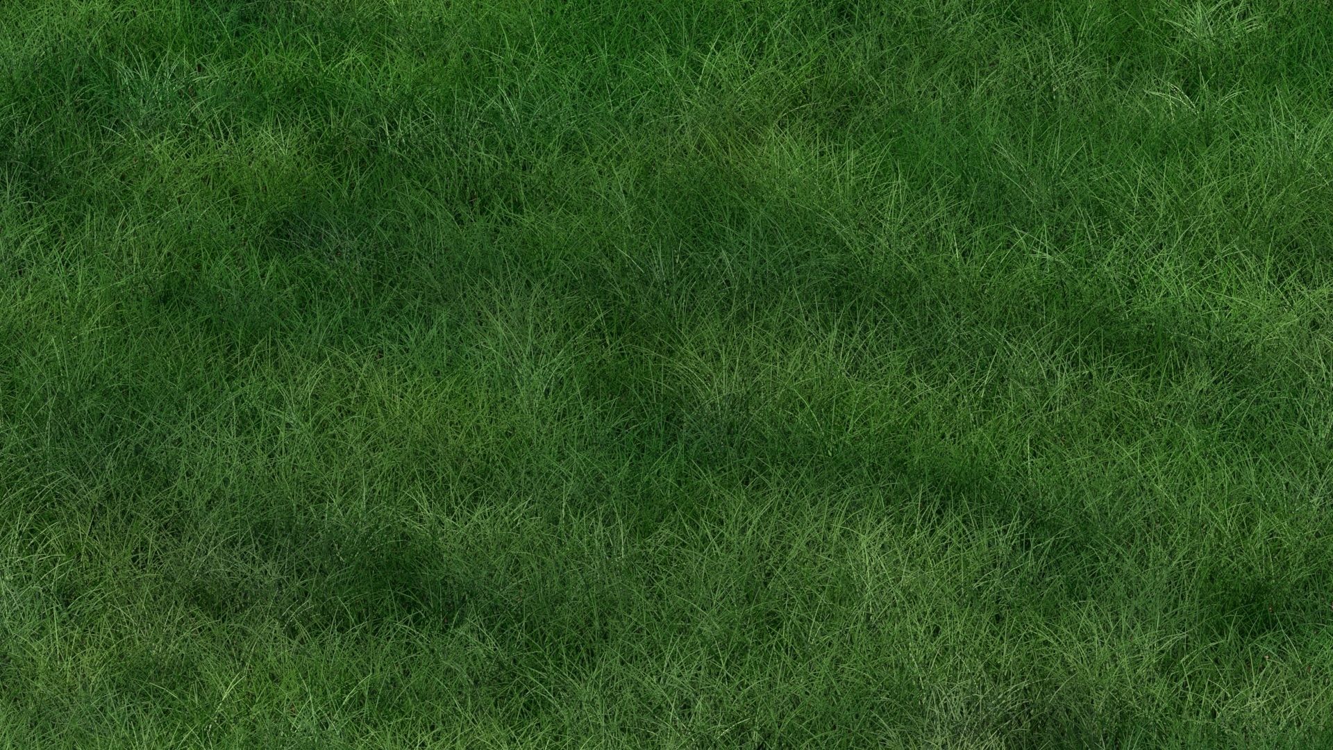 Grass 3D model | CGTrader