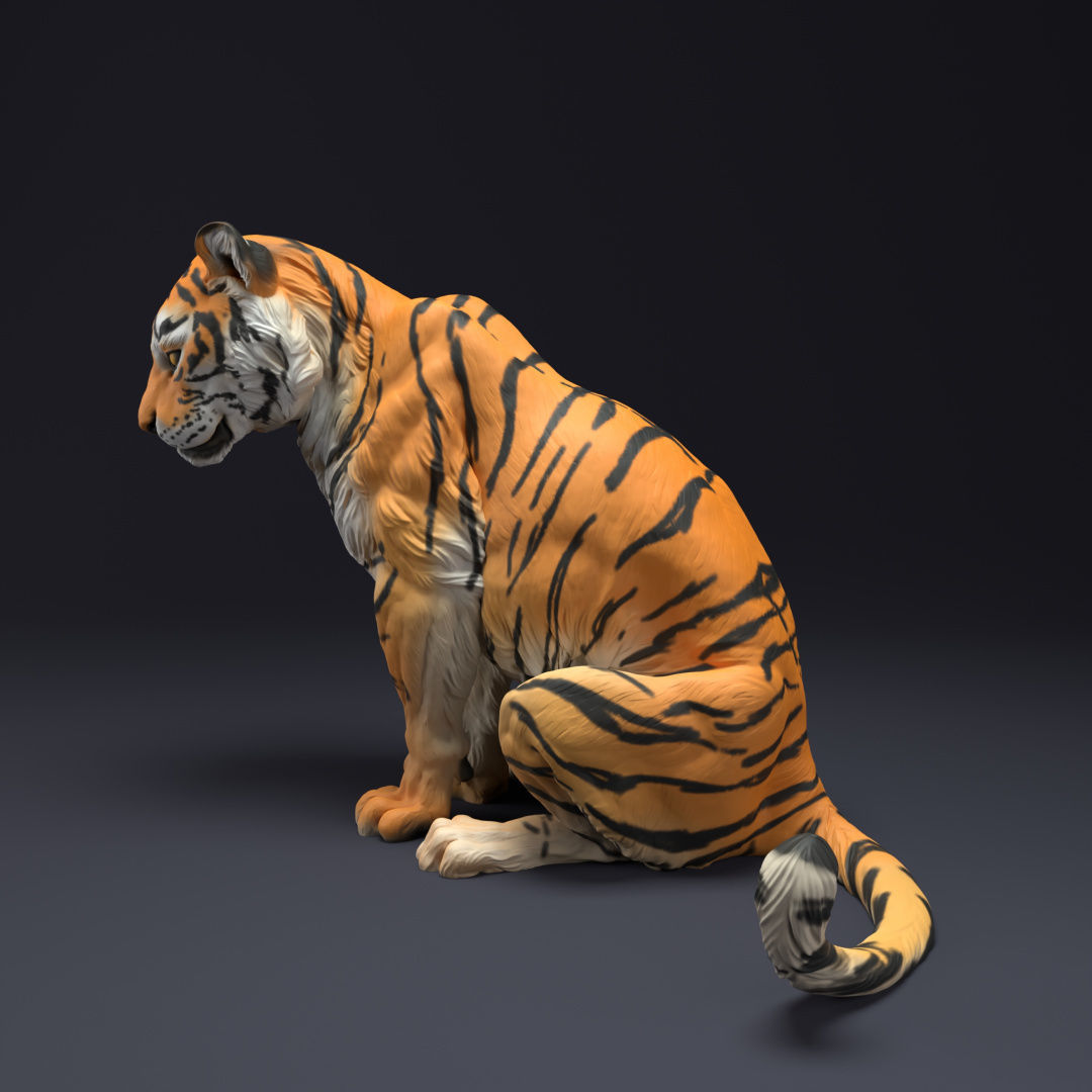 Bengal Tiger Sit for 3D Printing 3D model 3D printable | CGTrader