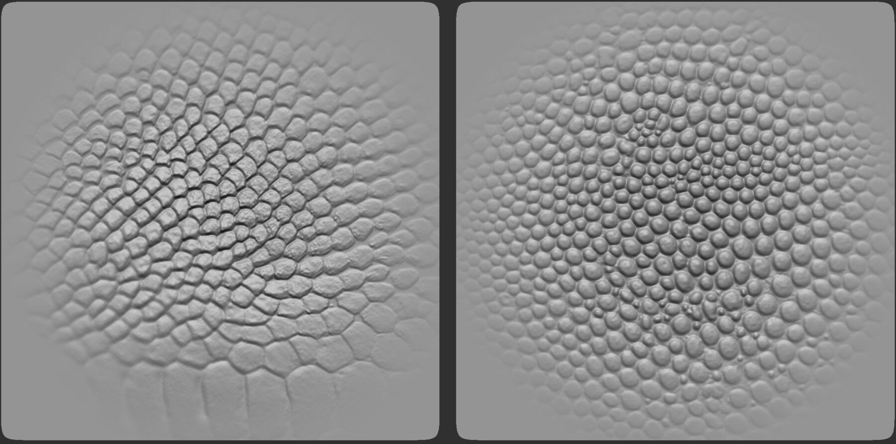 45 Reptile Dragon lizard crocodile Skin Scale Alphas V3 3D model | CGTrader