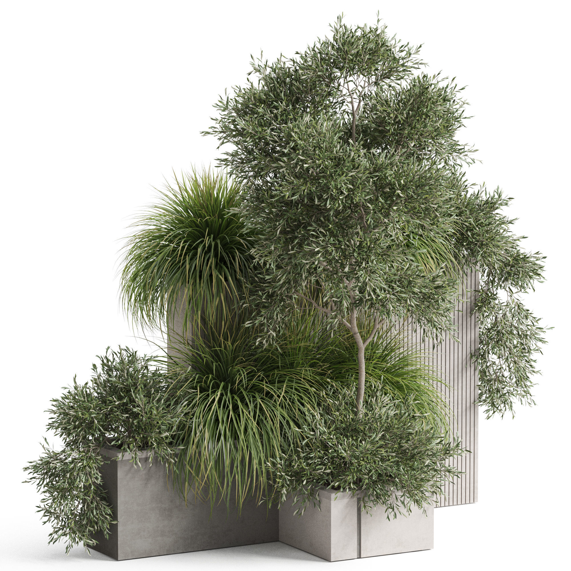 Plants collection 770 3D model | CGTrader