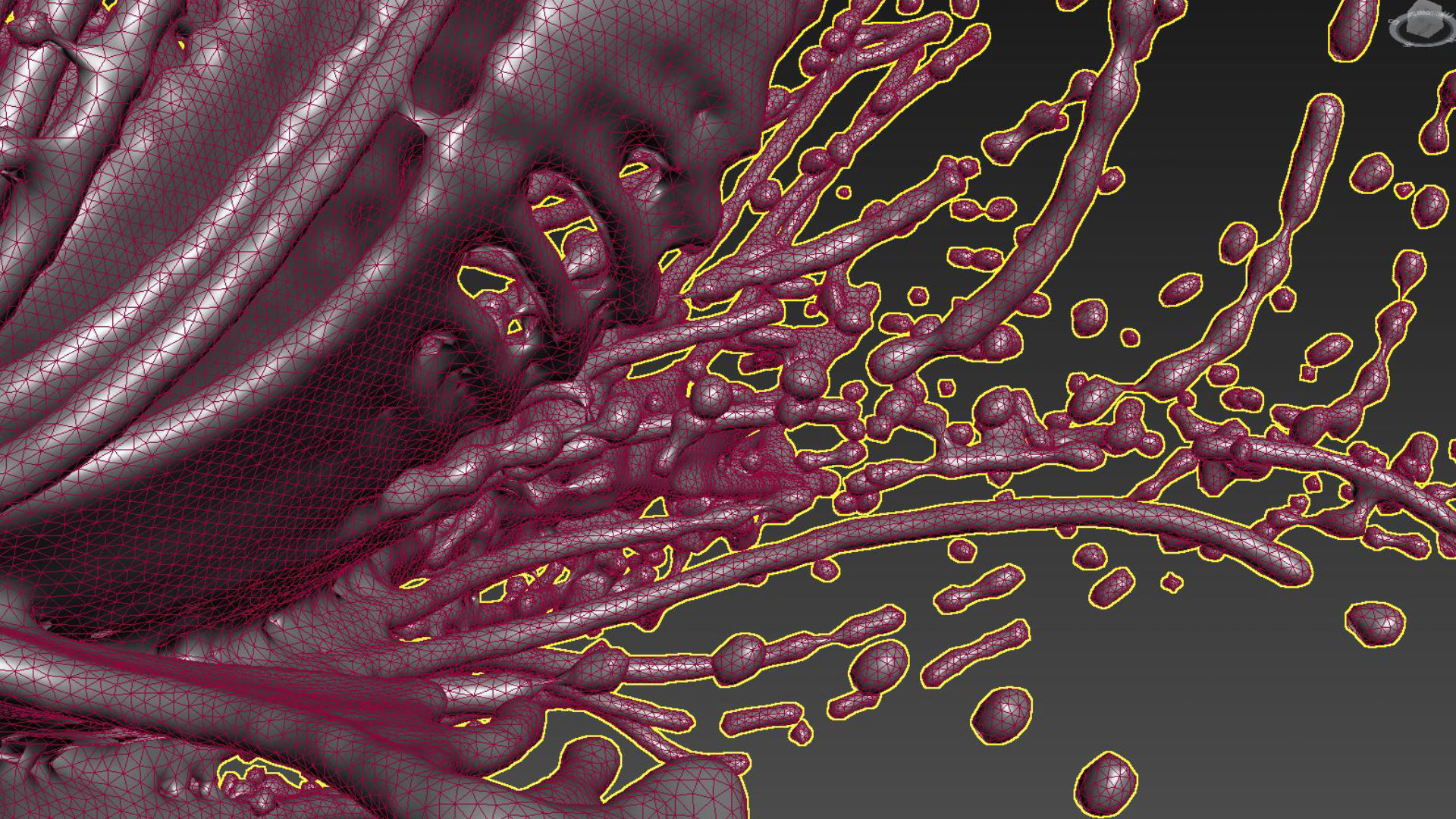 Water Splash Animation and Model 3D model animated | CGTrader