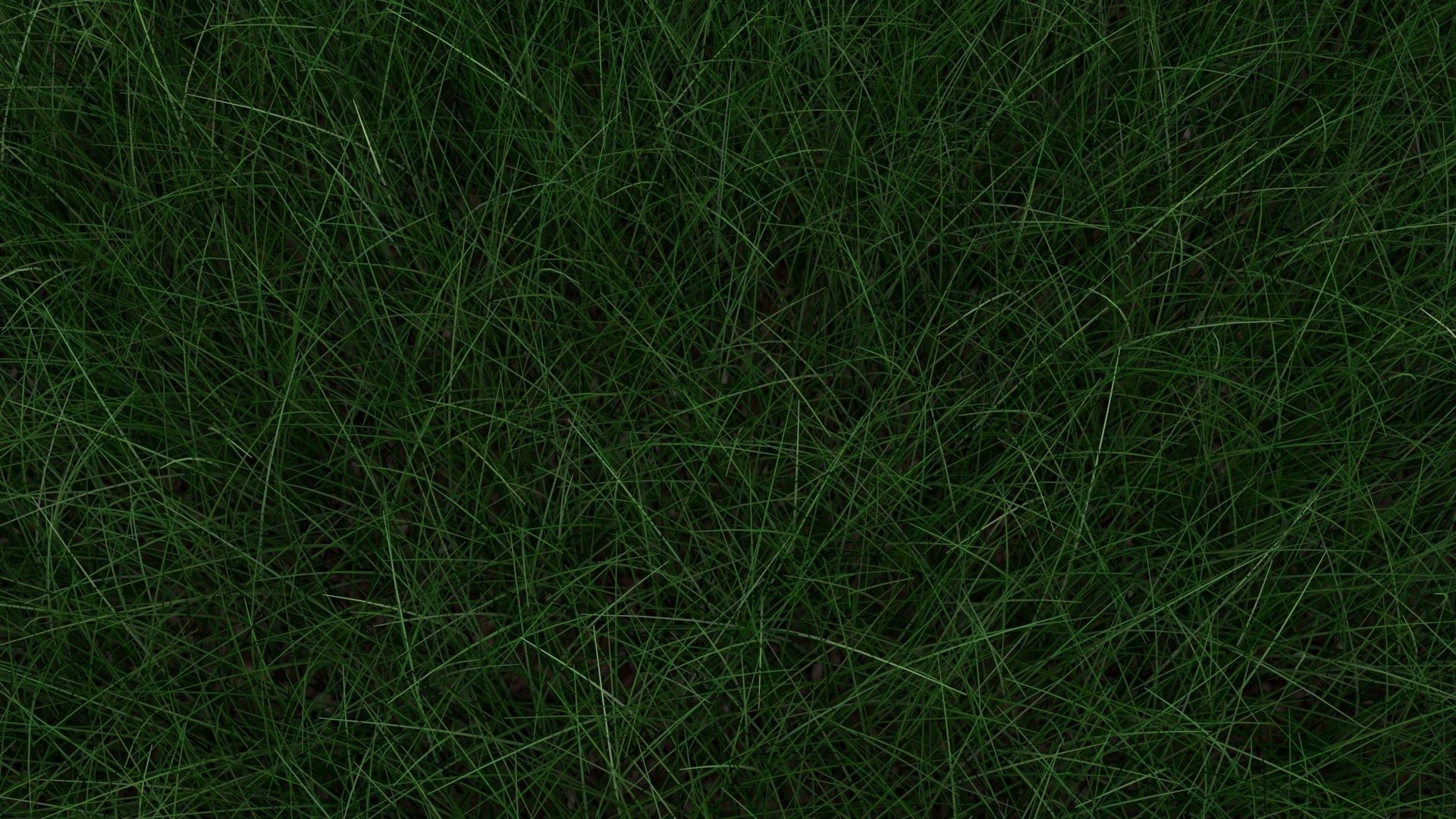 Grasses Set 3D model | CGTrader
